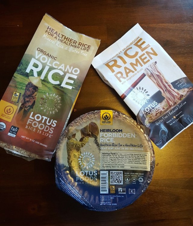 Almond Milk Volcano Rice Pudding | I Crashed The Web